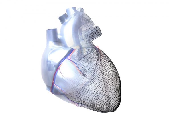 3D model human heart - MedicalGraphics