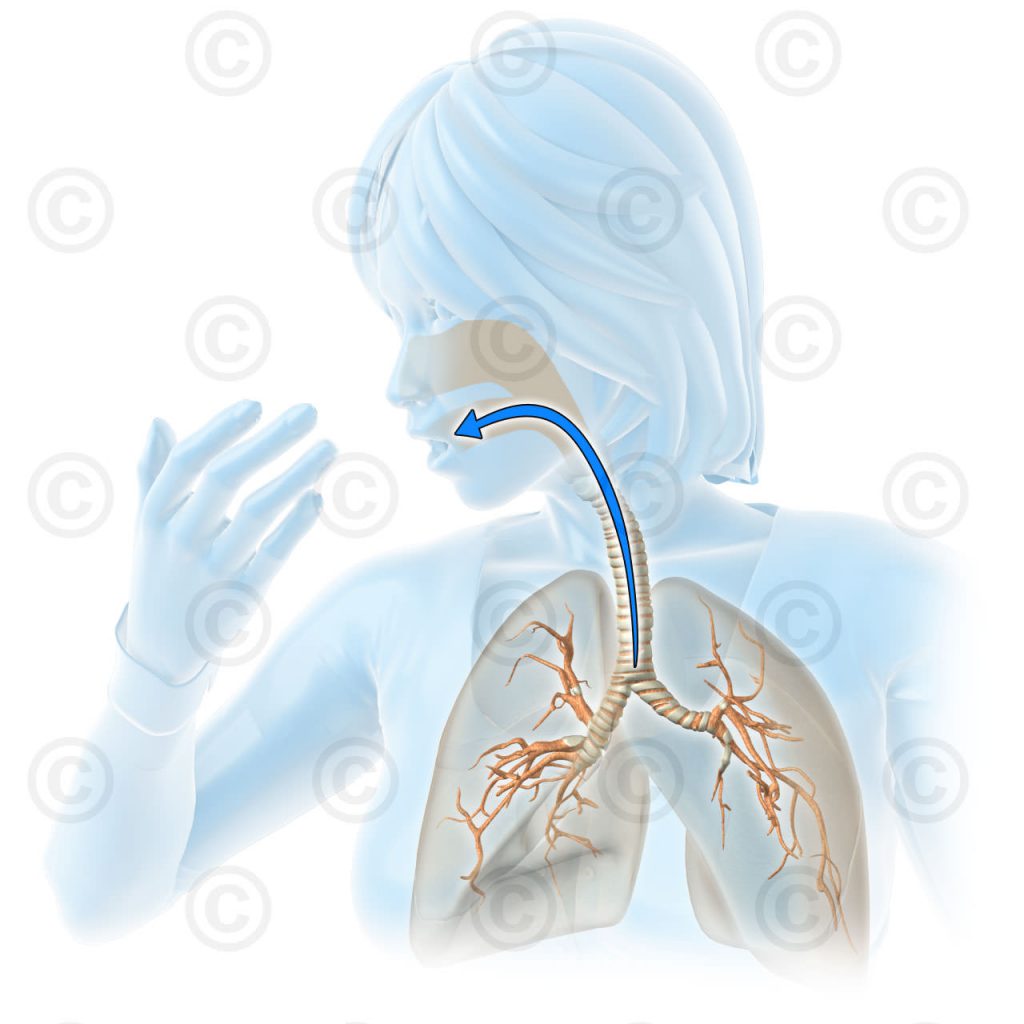 Illustration print campaign cough - MedicalGraphics