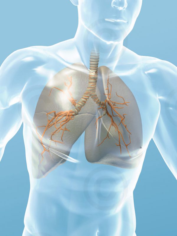 Medical key-visuals "Biolitec" - MedicalGraphics