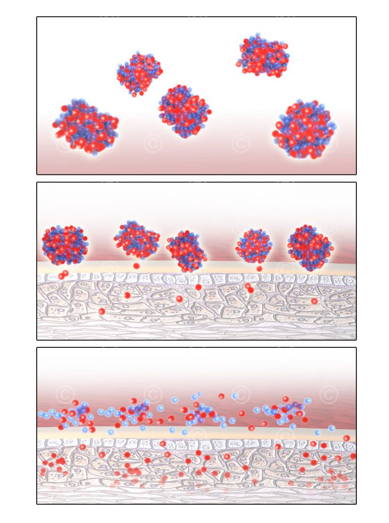 Illustrations MOA sublingual tablet - MedicalGraphics