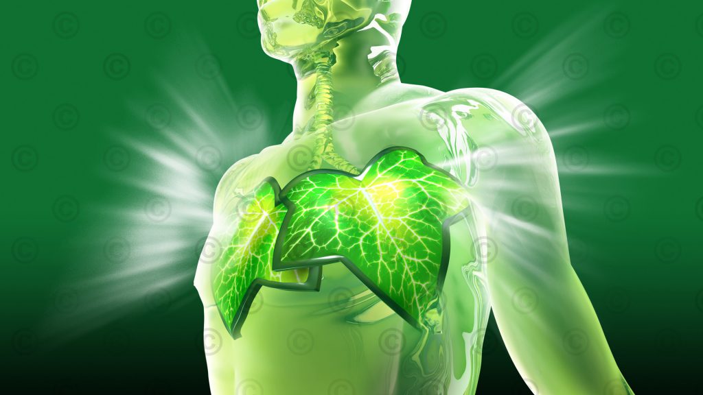 Print campaign Prospan - MedicalGraphics