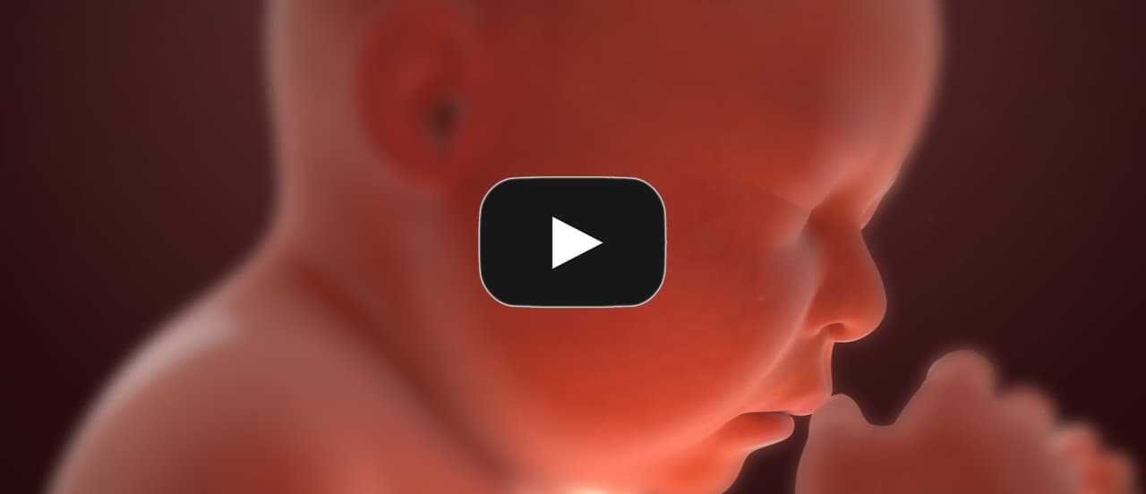 Showreel medical animations - MedicalGraphics