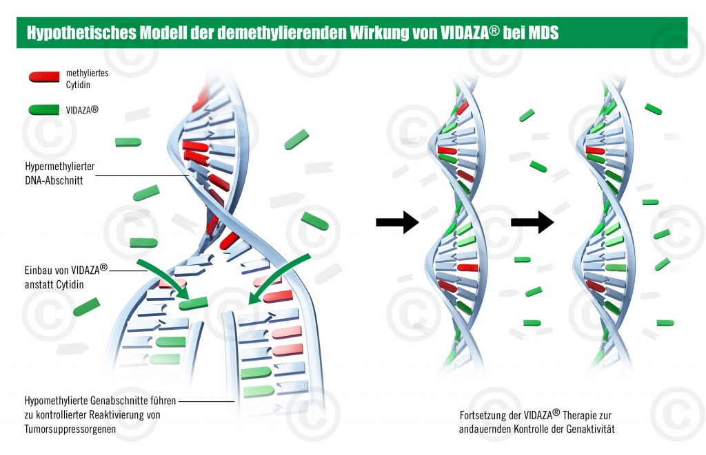 Illustration cancer therapy and cell replication - MedicalGraphics