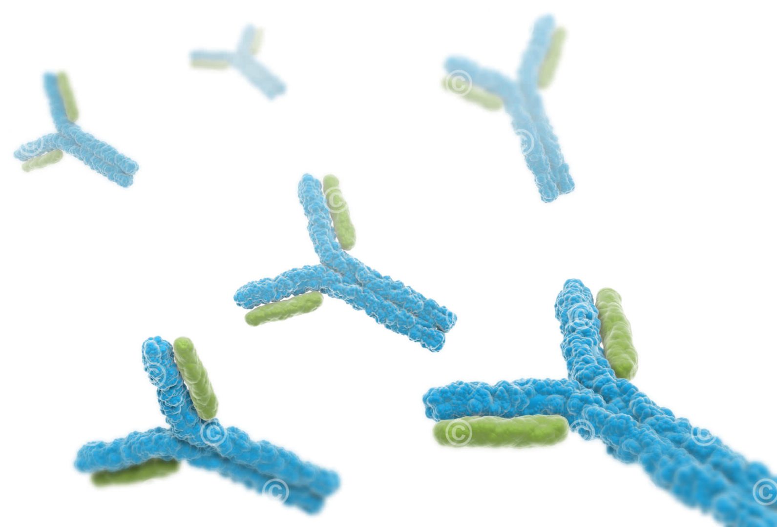 Illustrationen Antigenen - MedicalGraphics