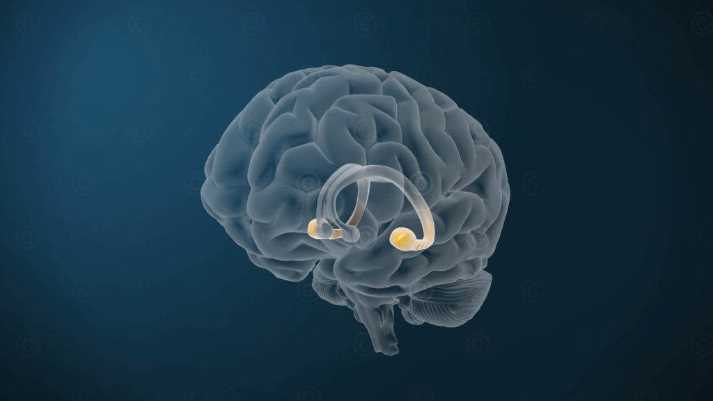 MoA-Animation Tianeptin zur Behandlung von Depressionen - MedicalGraphics