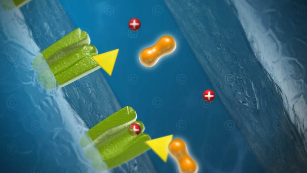 MoA-Animation Tianeptin zur Behandlung von Depressionen - MedicalGraphics