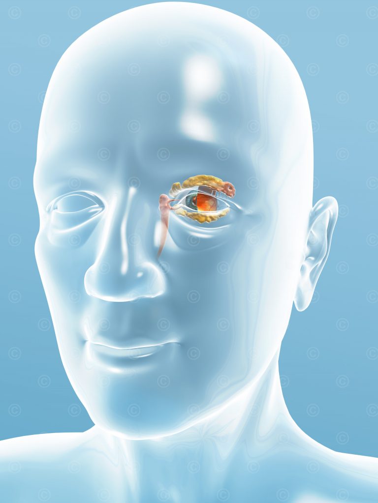 Key-Visual Ophthalmology - MedicalGraphics