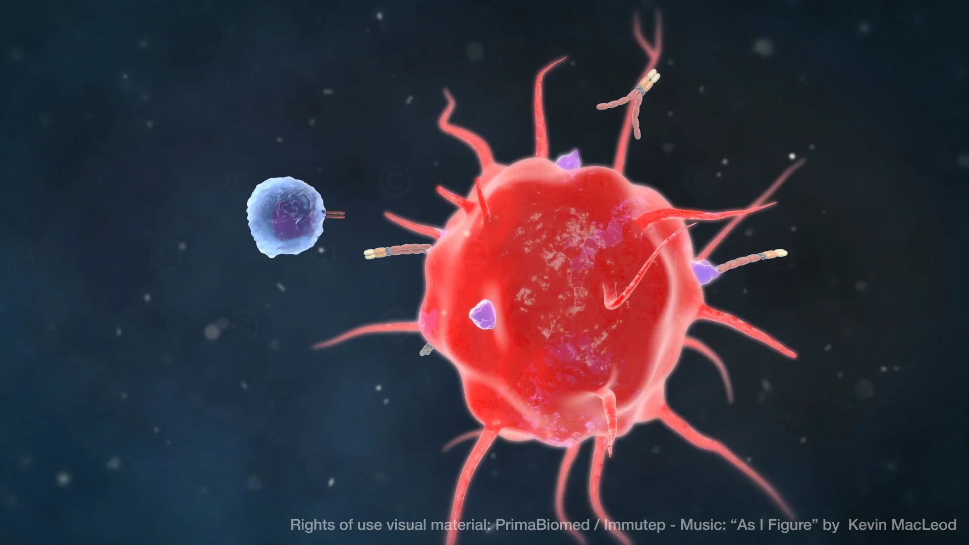 Animation cancer immunotherapy - MedicalGraphics