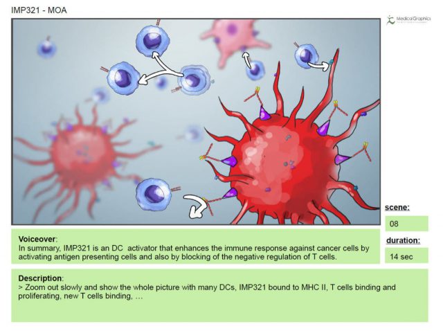 Animation cancer immunotherapy - MedicalGraphics