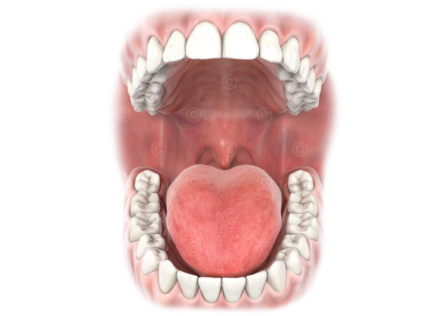 Verschiedene Dentale Illustrationen - MedicalGraphics