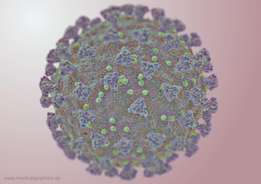 Free Illustrations coronavirus SARS-CoV2 - MedicalGraphics