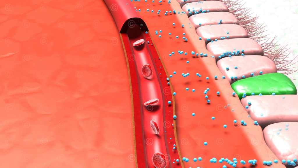 Animation nasal spray rhinitis - MedicalGraphics