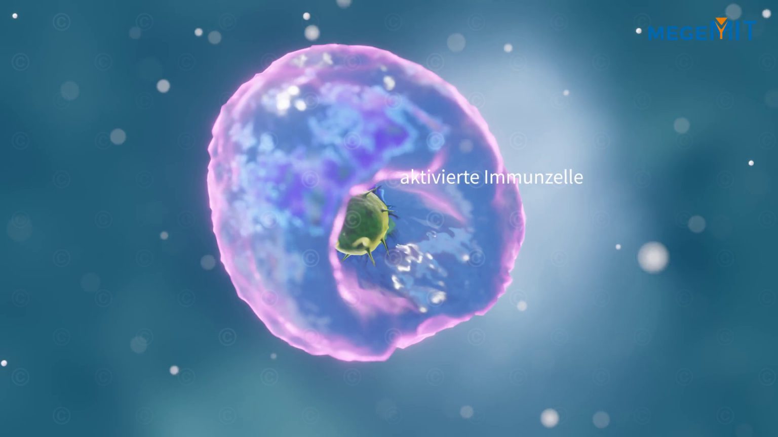 Animation immune system - MedicalGraphics