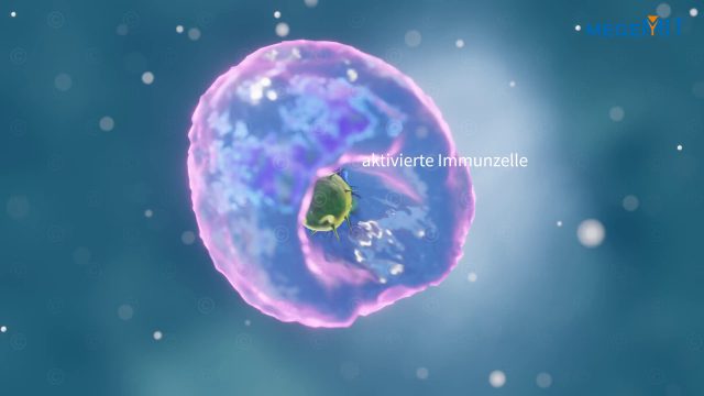 Animation immune system - MedicalGraphics