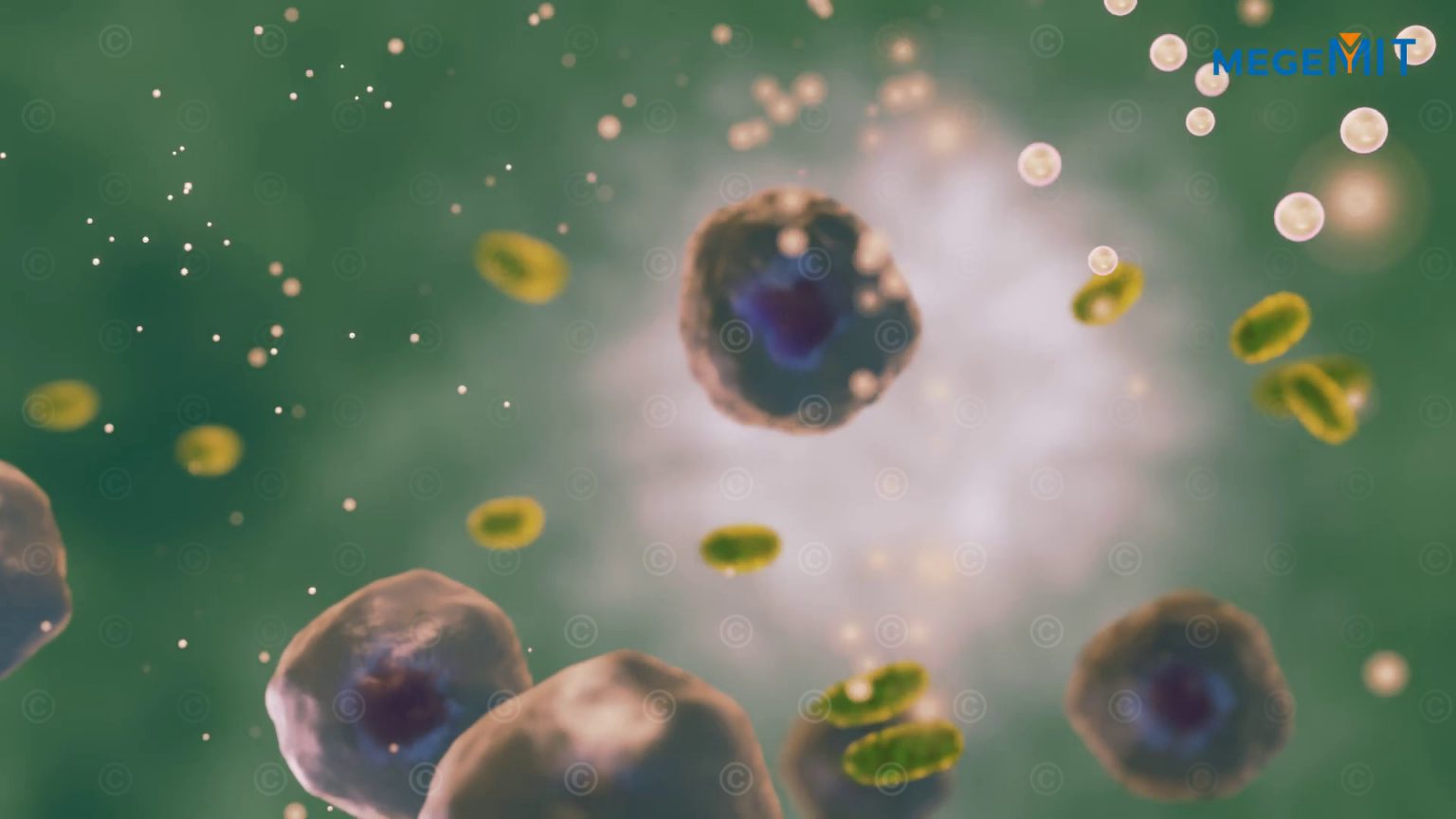 Animation immune system - MedicalGraphics