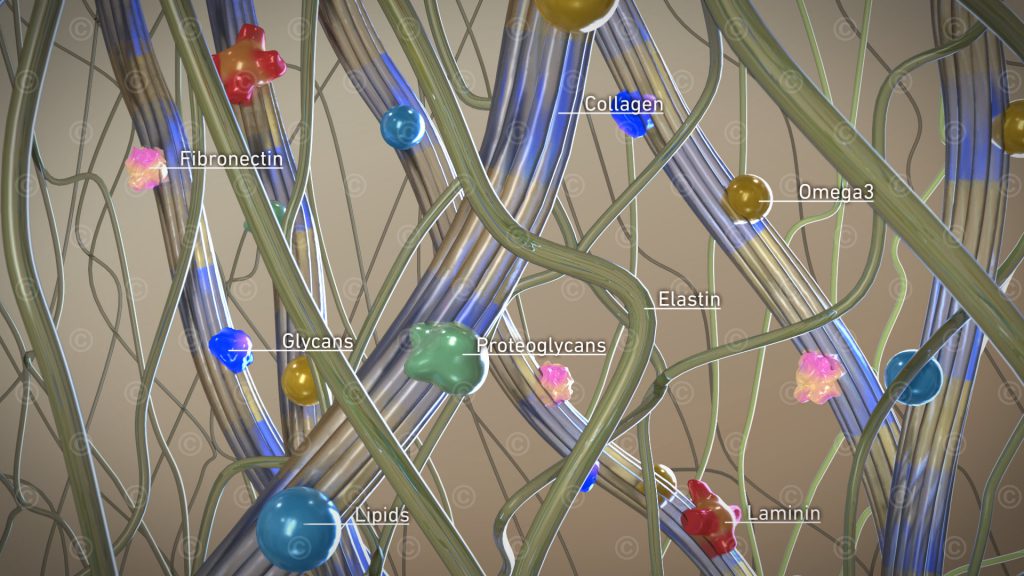 Animation skin replacement fish skin - MedicalGraphics