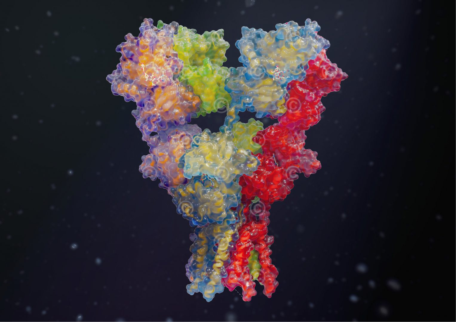 Gfp: Ein Protein Bringt Licht Ins Dunkel – FYVISM
