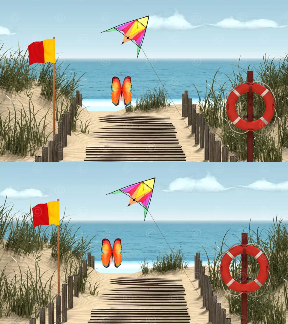 Animation for stereopsis test - optician - MedicalGraphics