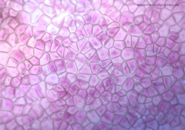 Free Illustration Cells microscope - purple