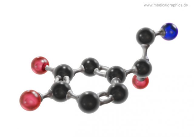 Free illustration Norepinephrine - white