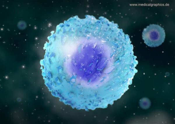T helper cells - MedicalGraphics